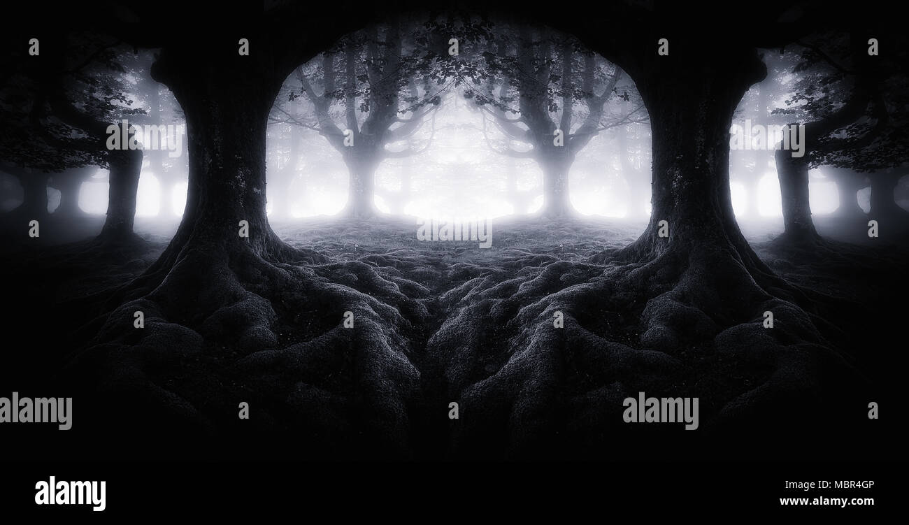 Scary dark forest with tree roots. Symmetry effect Stock Photo - Alamy