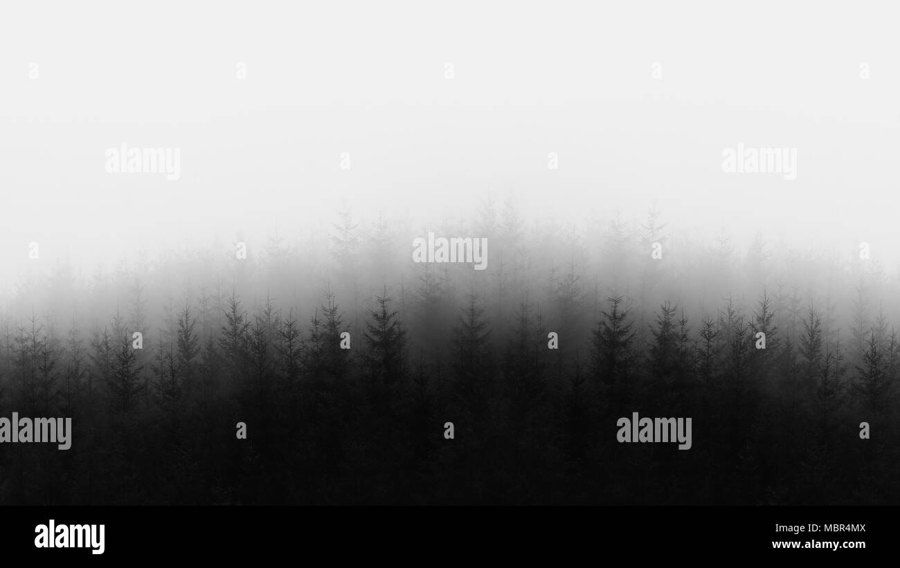 Distant forest hi-res stock photography and images - Alamy