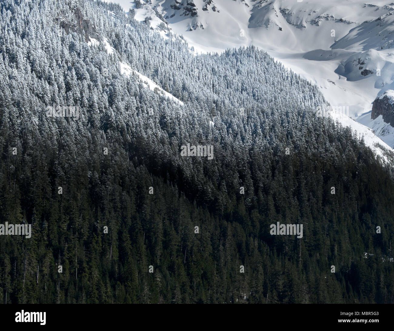Snow lines in Mount Rainer National Park Stock Photo - Alamy