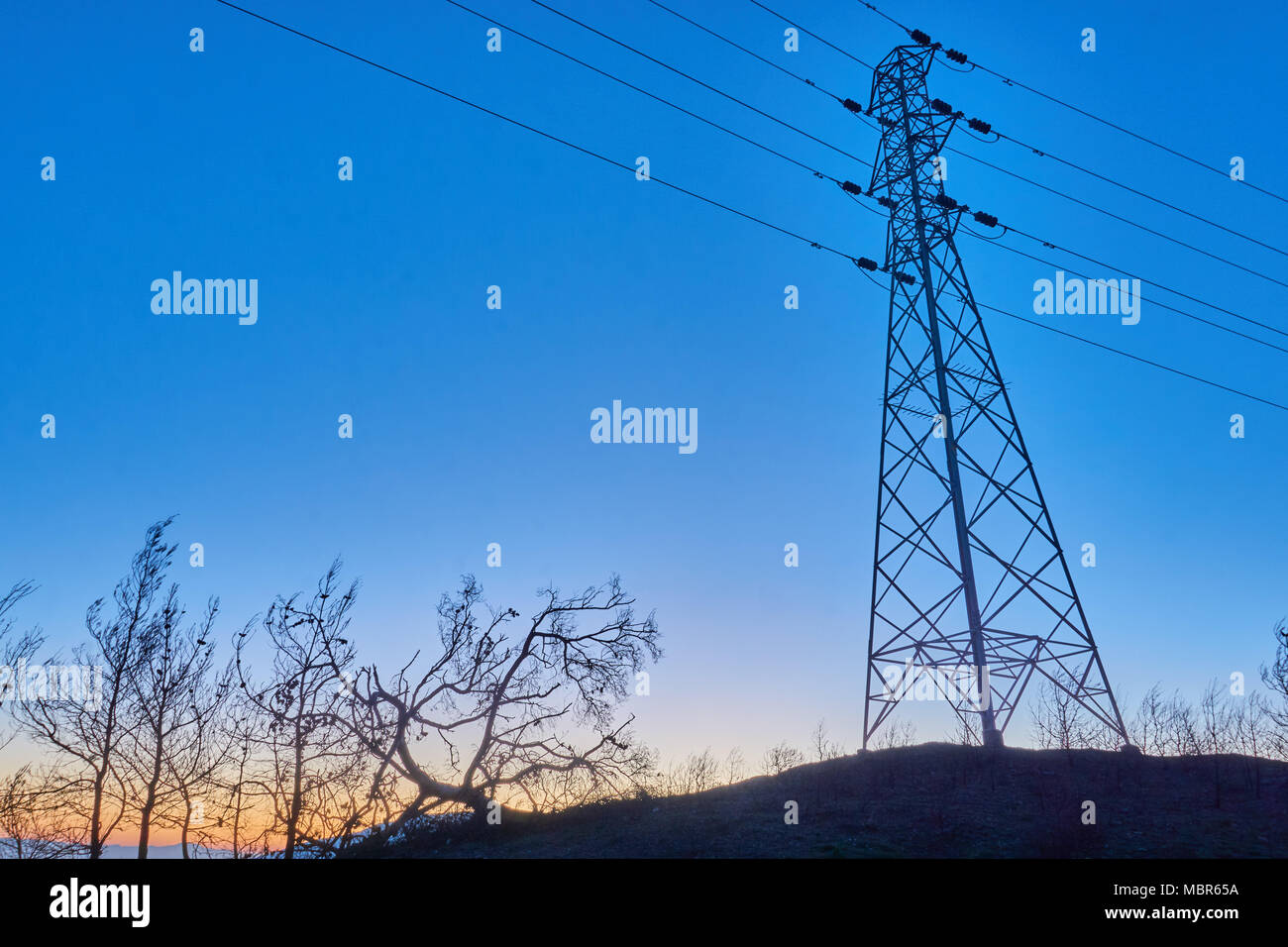 Morning on high line hi-res stock photography and images - Alamy