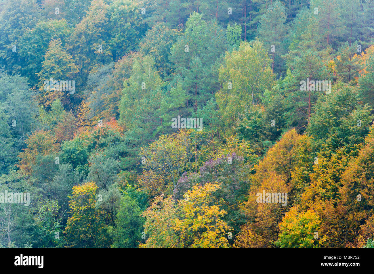 Pavilniai regional park hi-res stock photography and images - Alamy