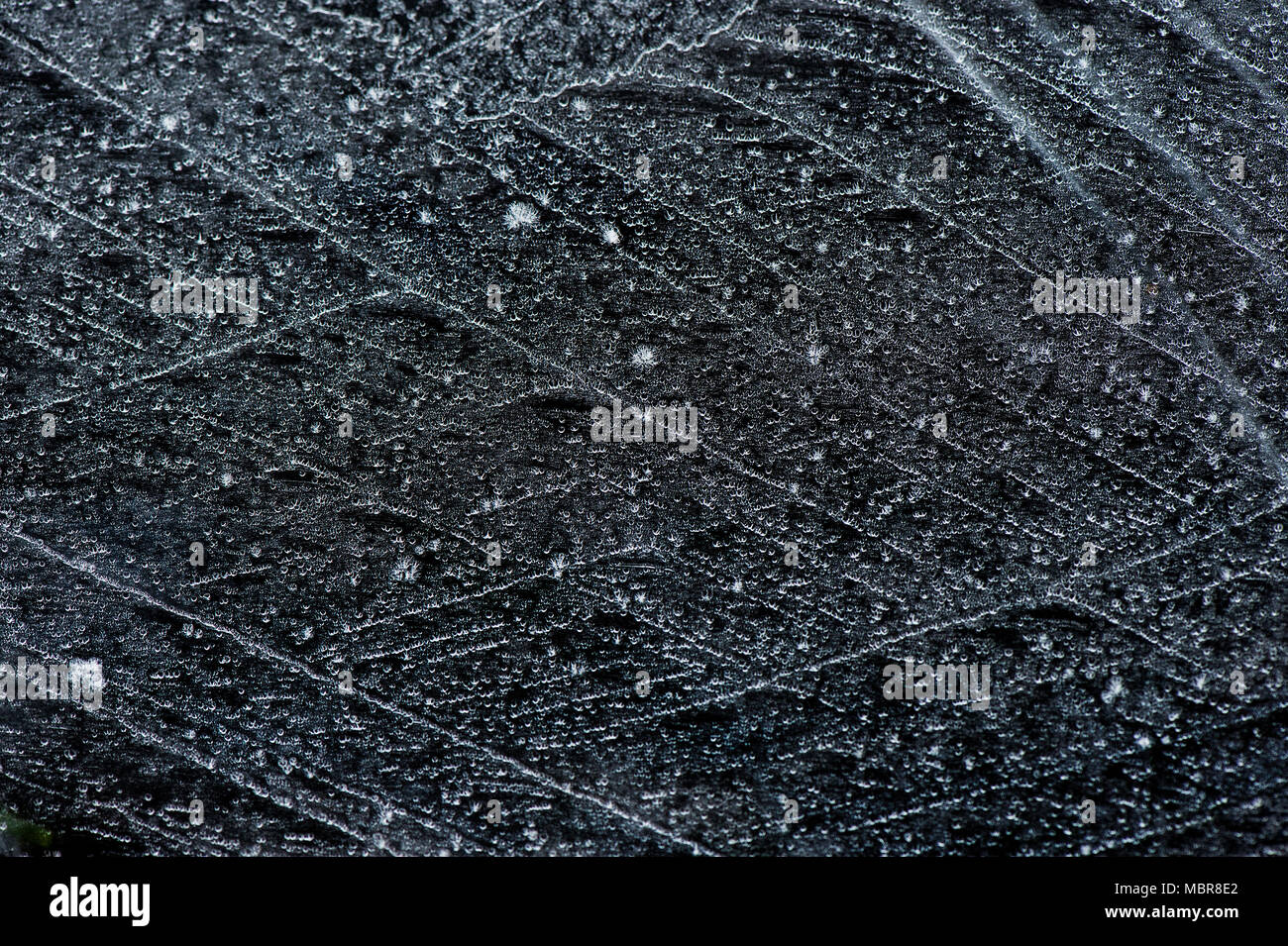 Abstract patterns in ice Stock Photo - Alamy