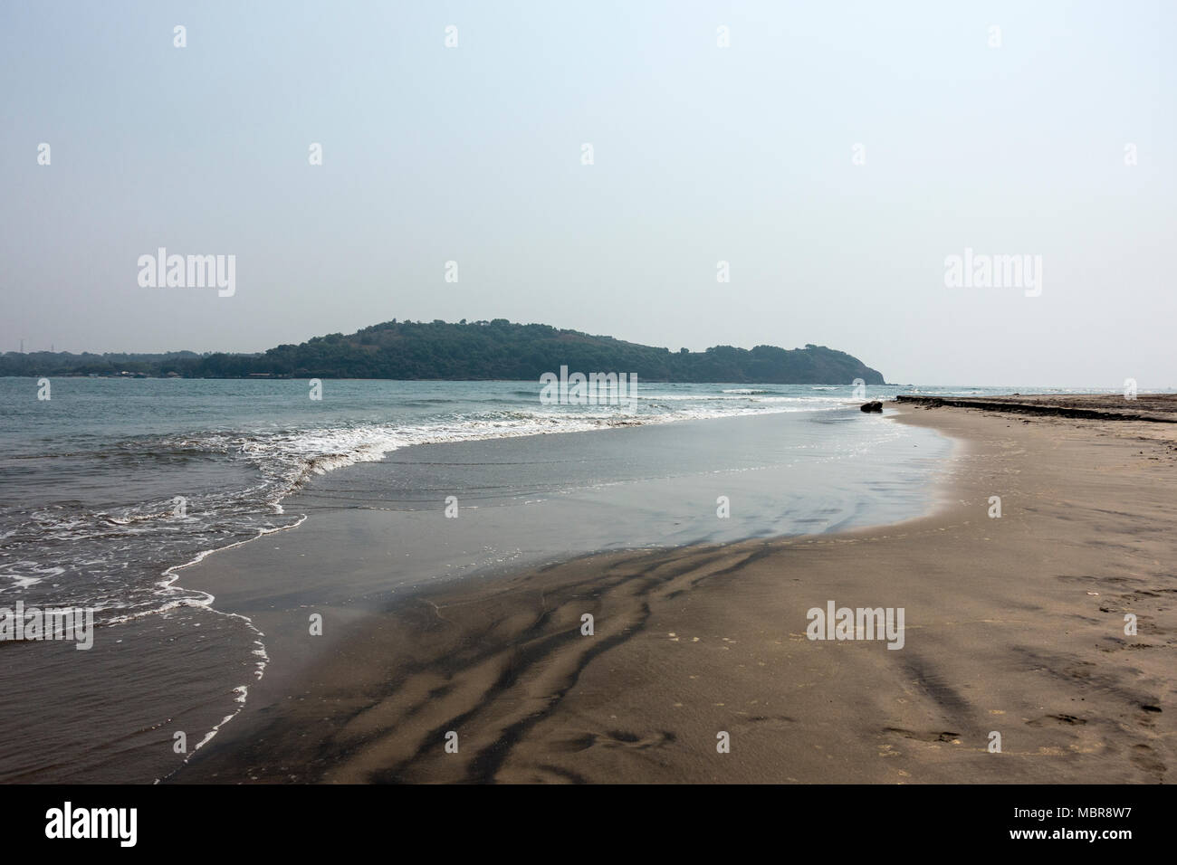 Morjim beach goa turtle hi-res stock photography and images - Alamy