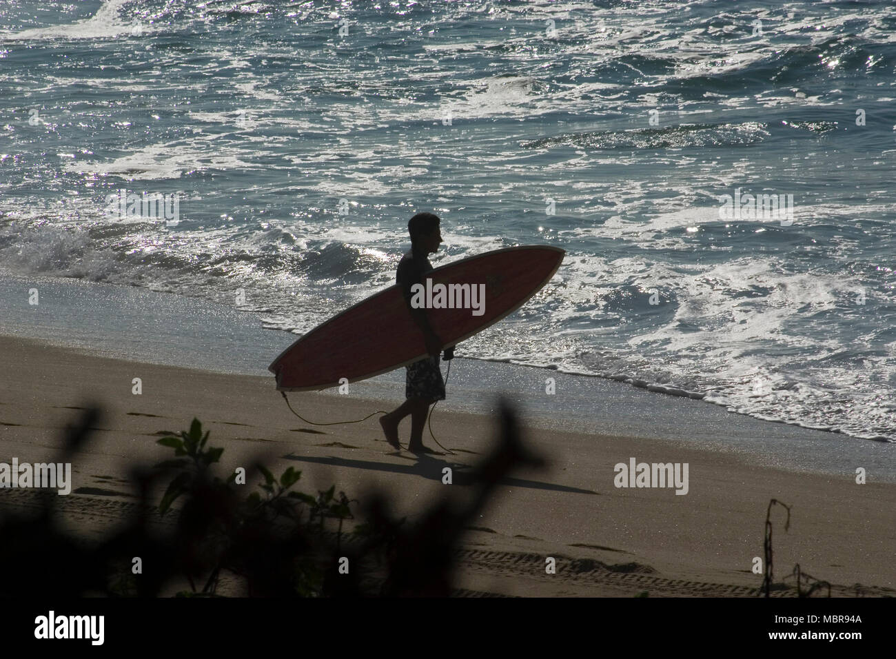 surfer walking on the beach Stock Photo - Alamy