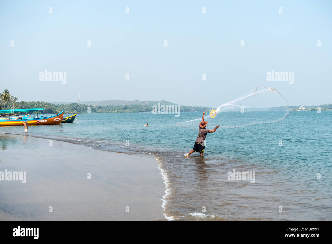 Morjim beach goa turtle hi-res stock photography and images - Alamy