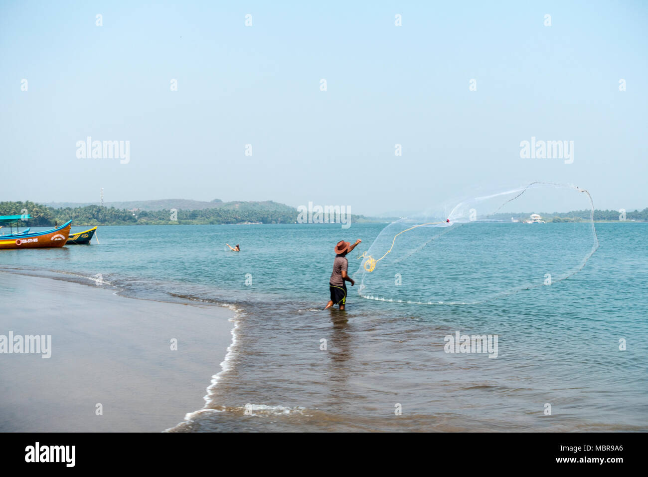Morjim beach goa turtle hi-res stock photography and images - Alamy