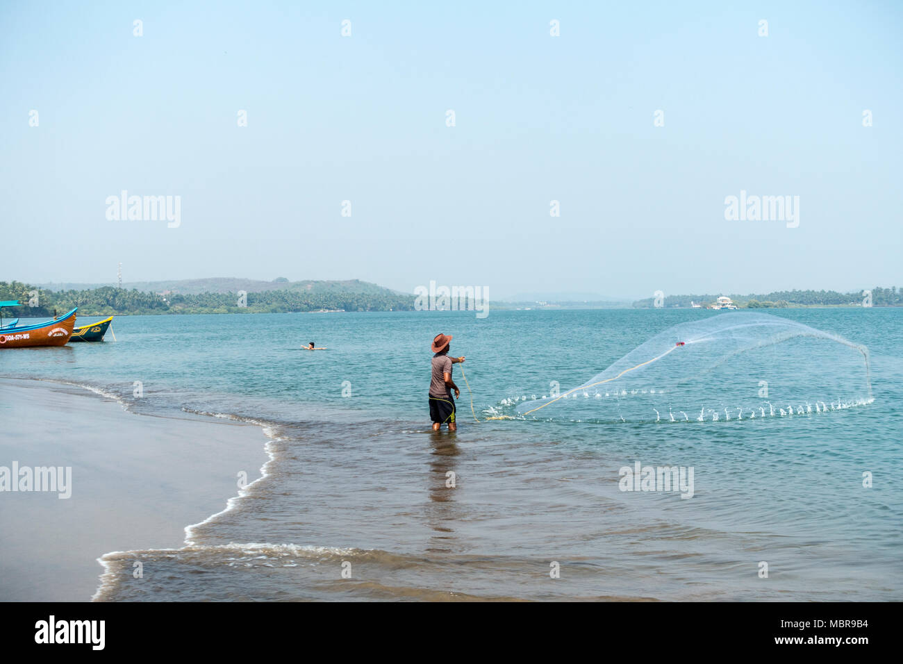 Morjim beach goa turtle hi-res stock photography and images - Alamy