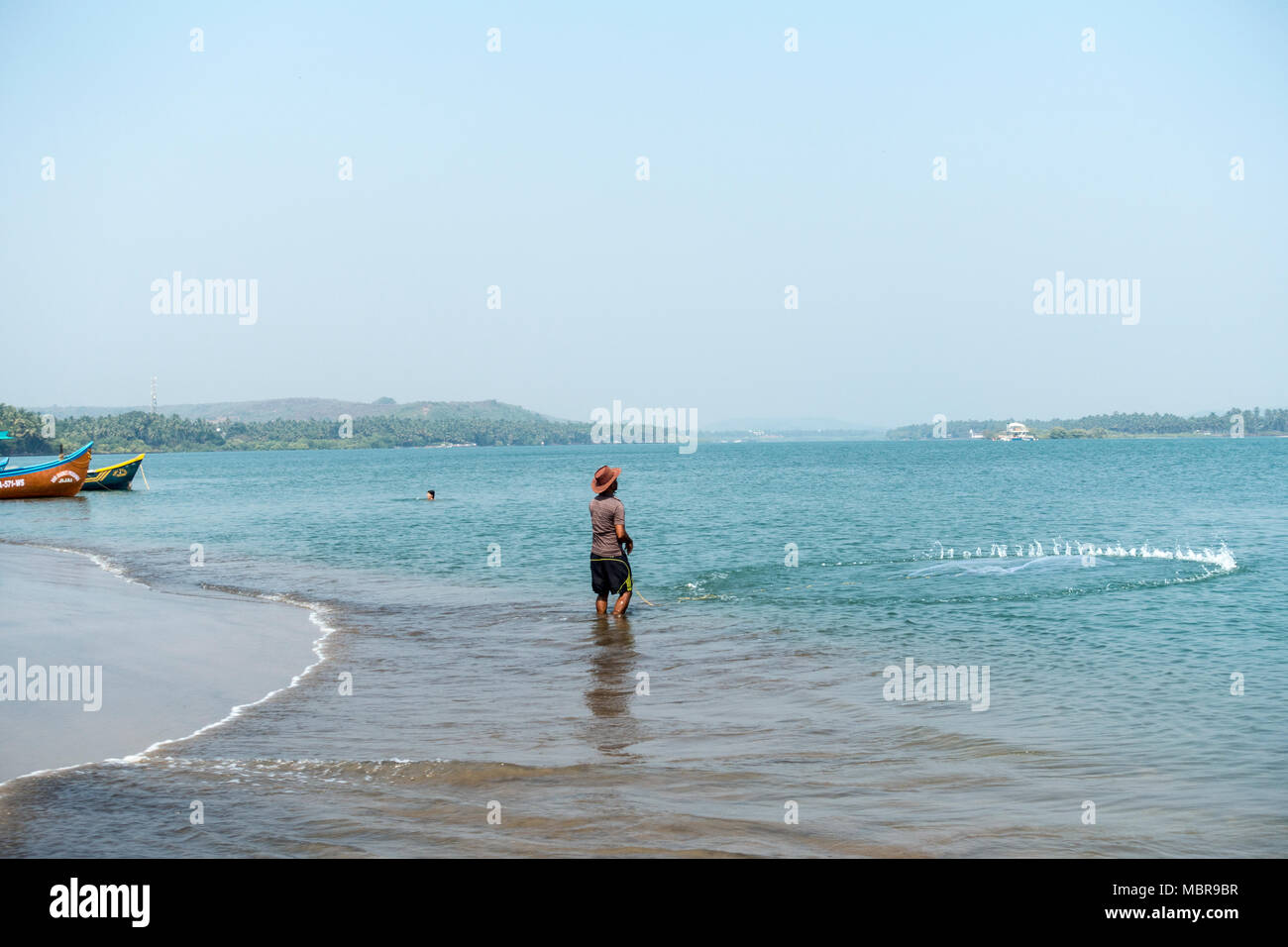 Morjim beach goa turtle hi-res stock photography and images - Alamy