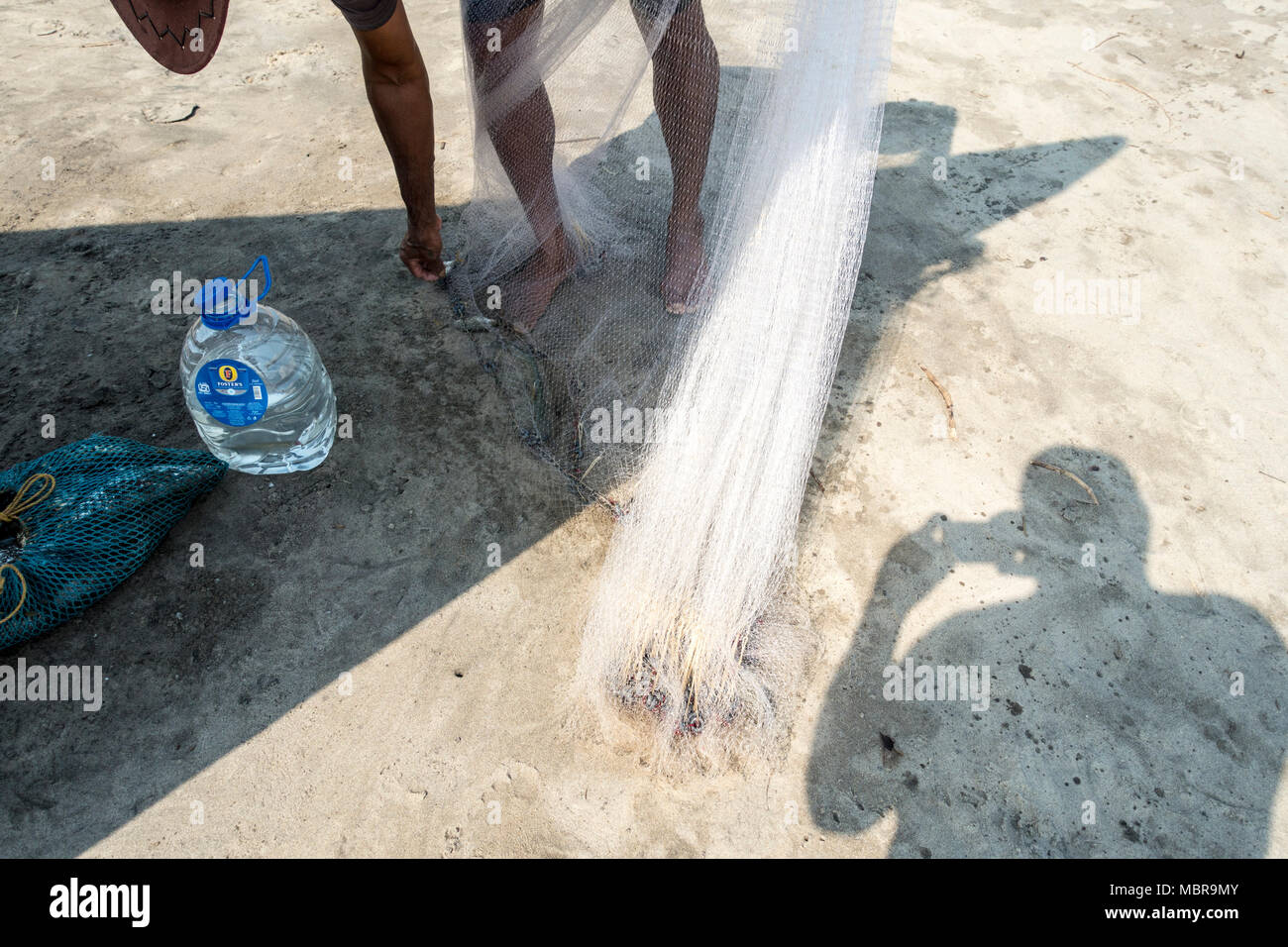 Morjim beach goa turtle hi-res stock photography and images - Alamy