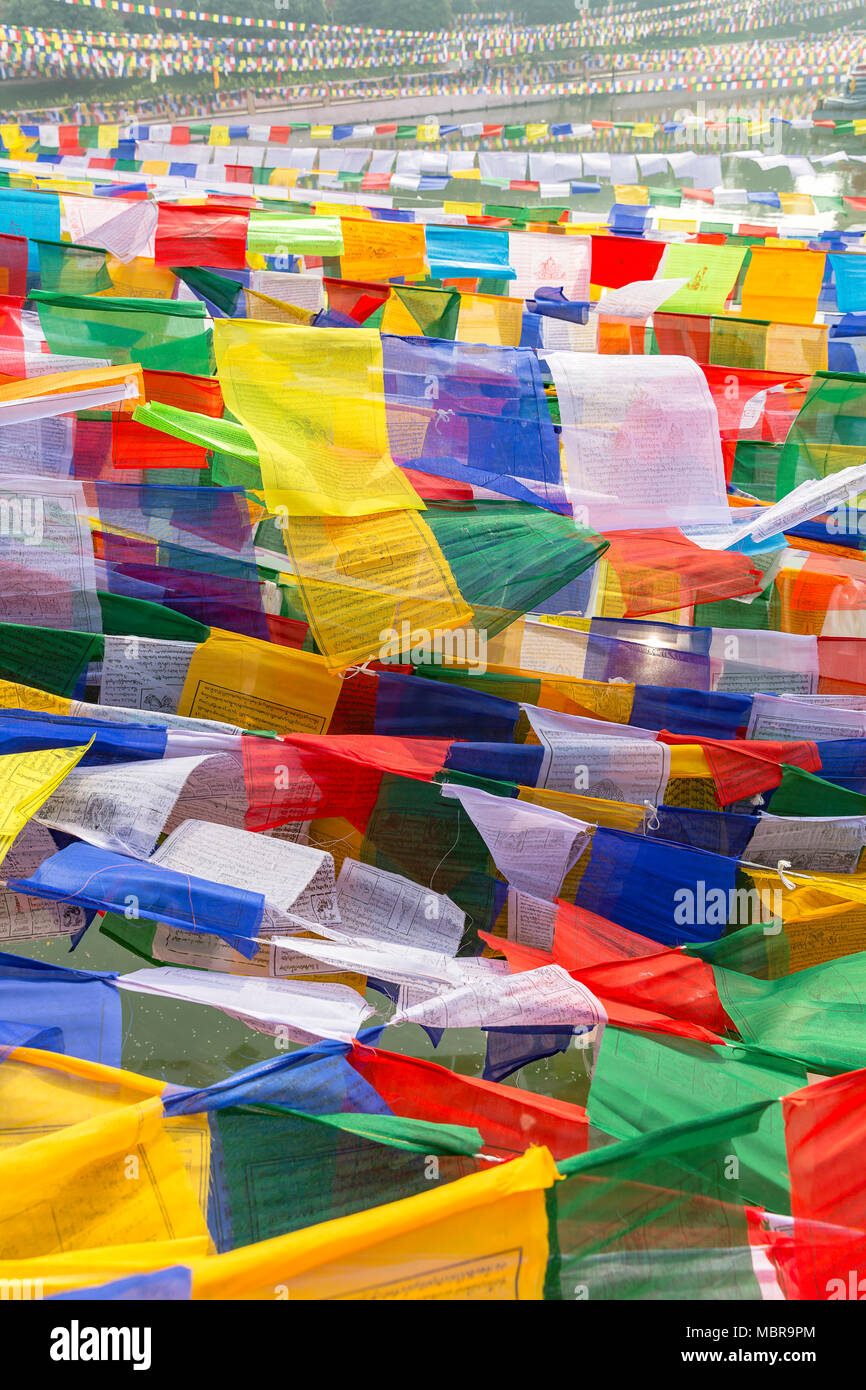 Many colorful prayer flags, Bodhgaya, Bihar, India Stock Photo - Alamy