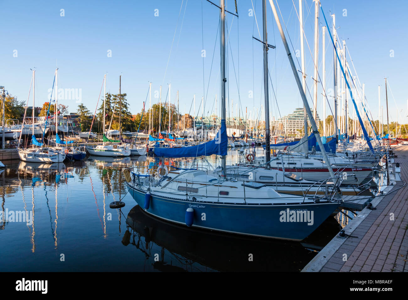 Sailboats at the Bronte Harbour Yacht club Marina in Bronte Harbour ...