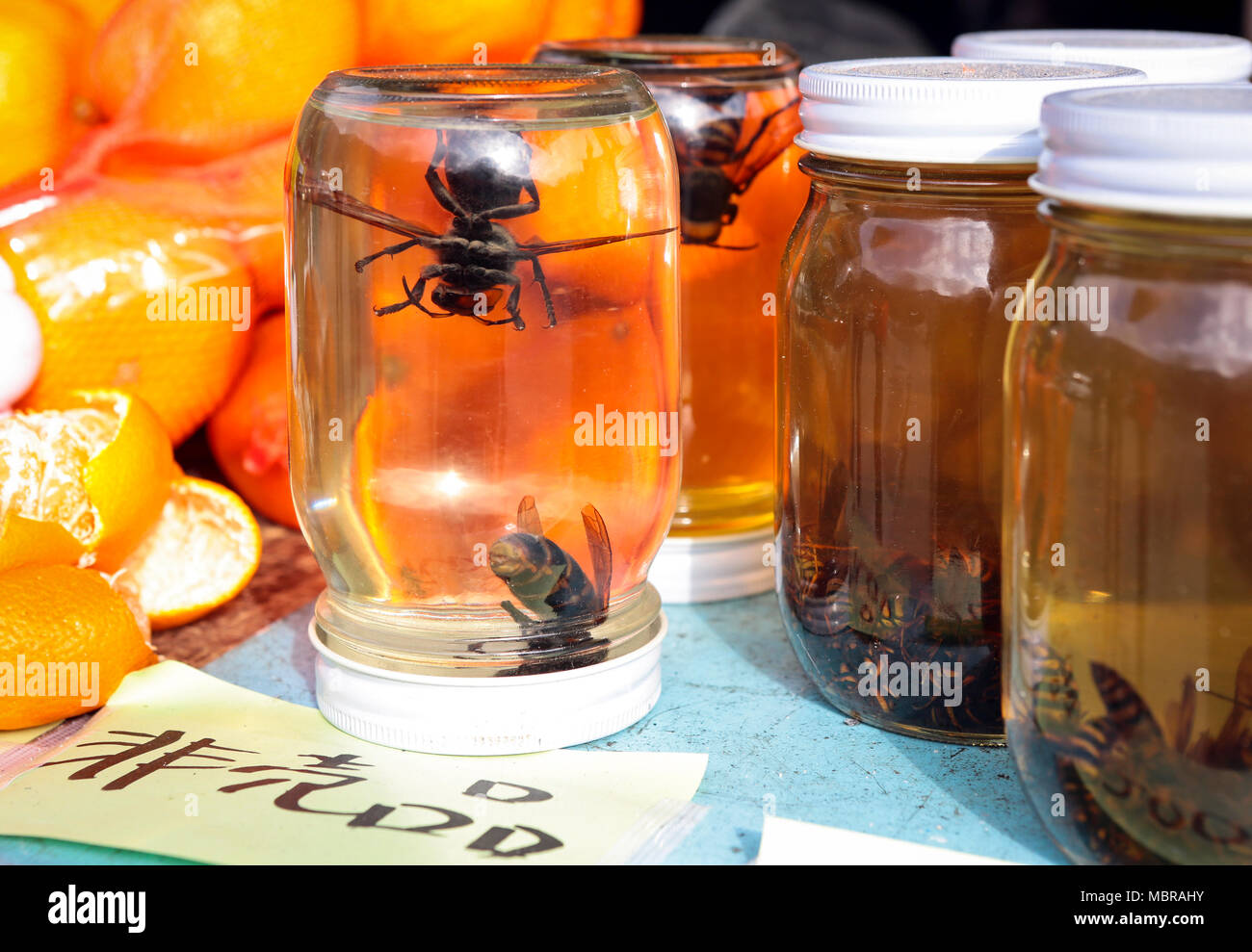 Sake pickled hornets next to honey pickled bees, stall in Museum ...