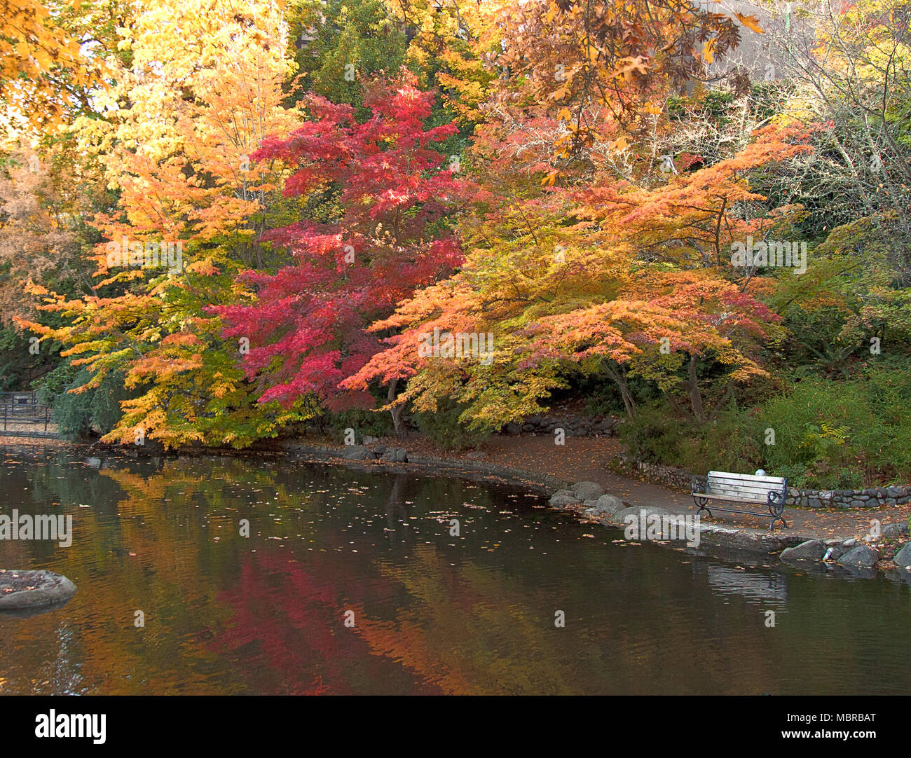 Ponds parks seasons hi-res stock photography and images - Alamy