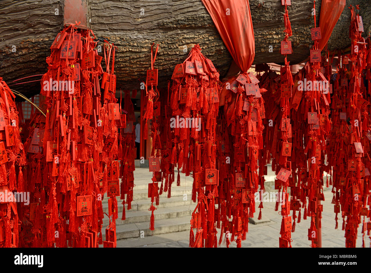 Wishing tree and china hi-res stock photography and images - Alamy