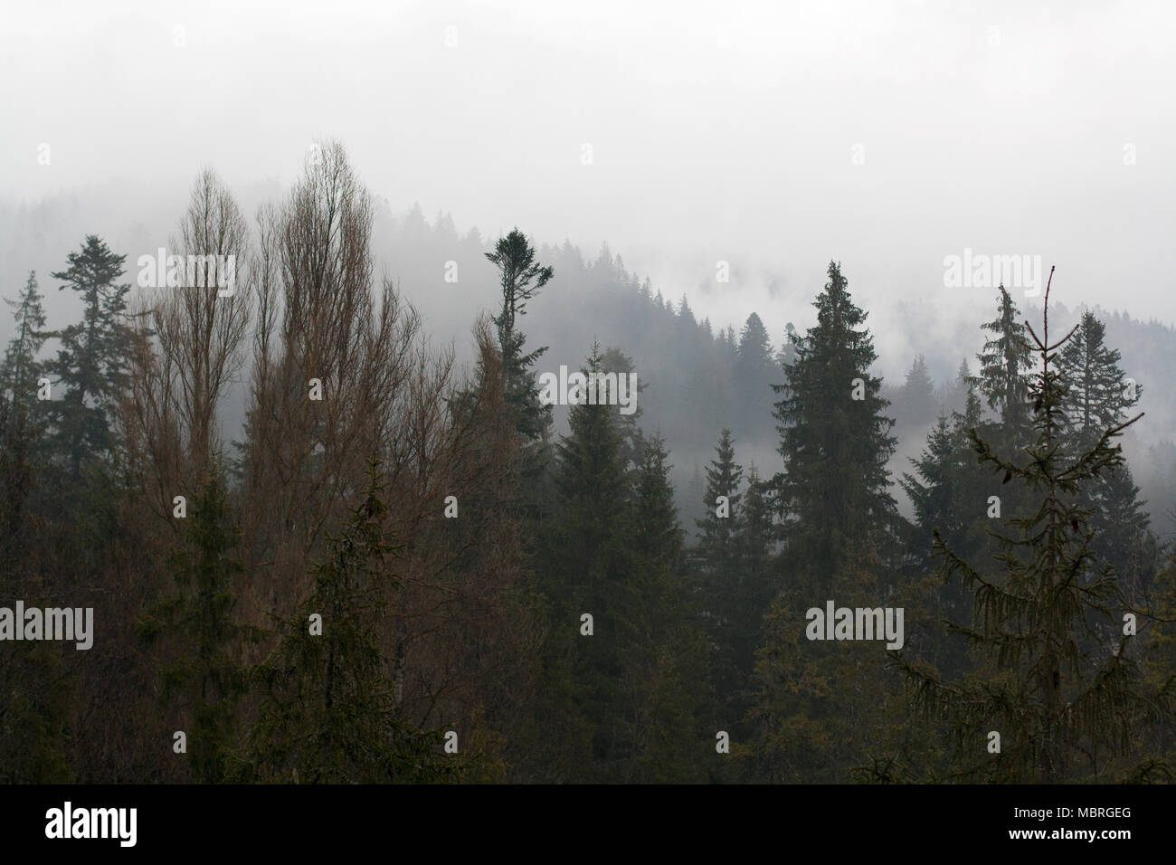 Mysterious haze hi-res stock photography and images - Alamy