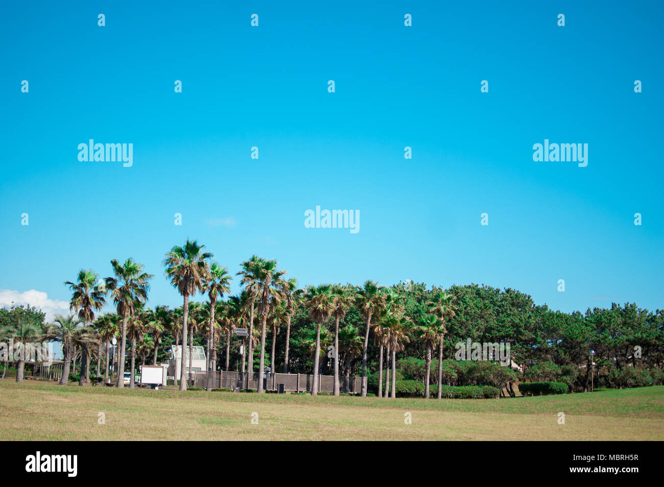Beach park around Shonan in Japan. Shonan is an area located in a ...