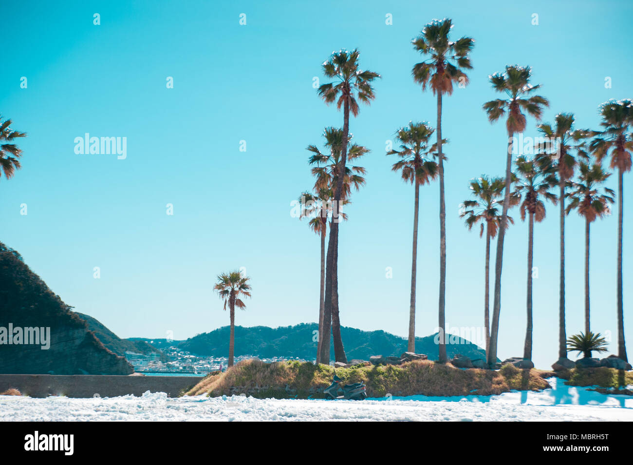 Palm Trees and Snow in Hayama, Japan. Hayama is known as the Japanese ...