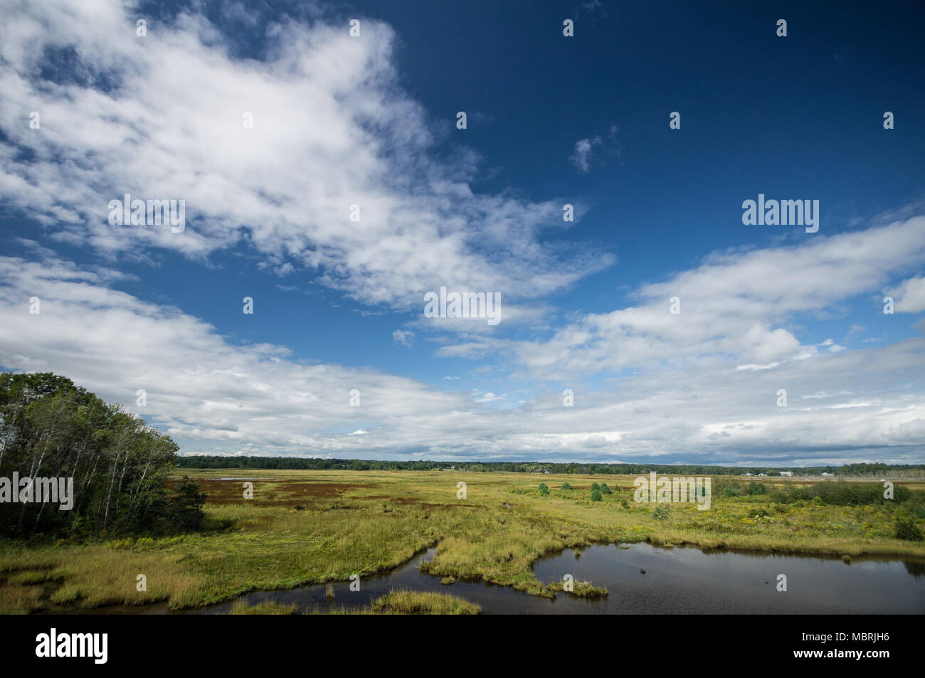 Overlooking salt marshes hi-res stock photography and images - Alamy