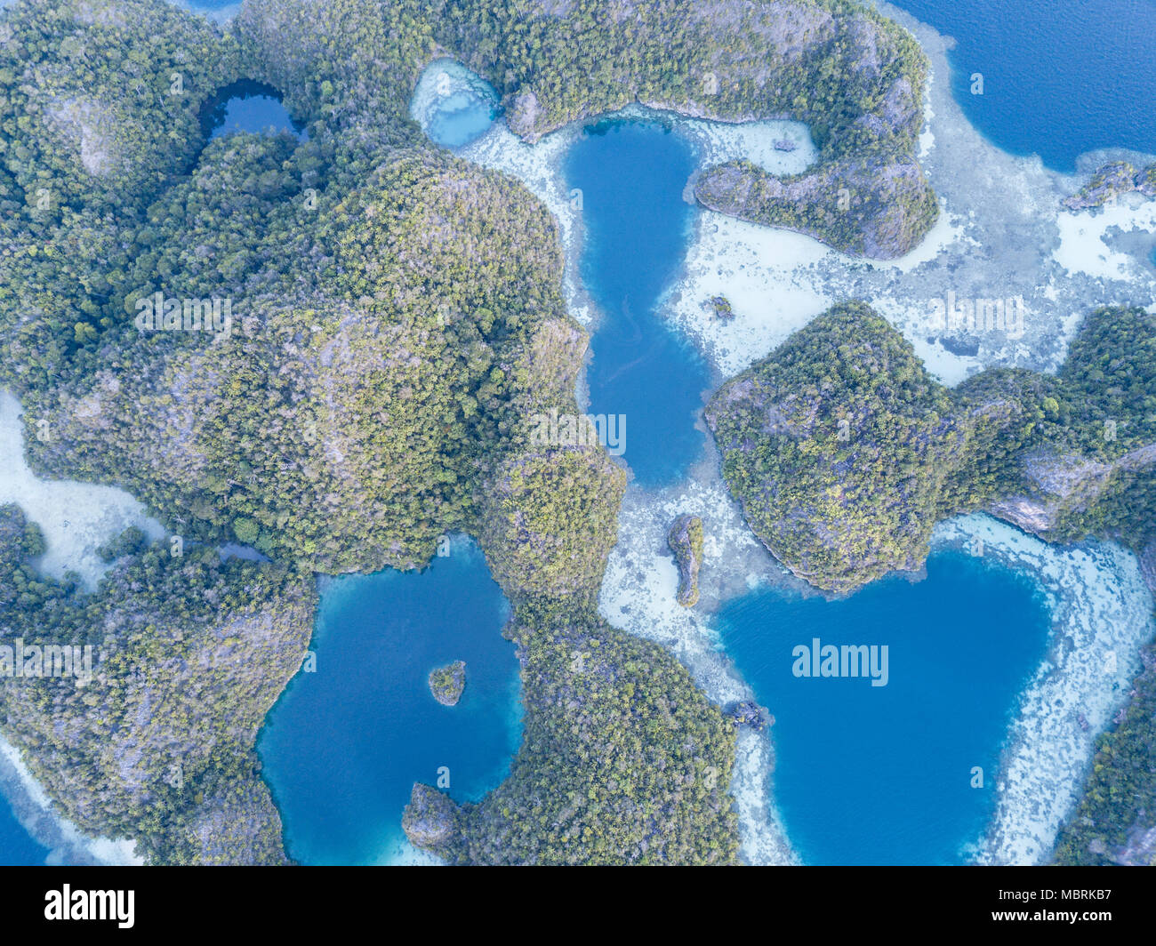 Beautiful limestone islands rise from the calm seas of Raja Ampat ...