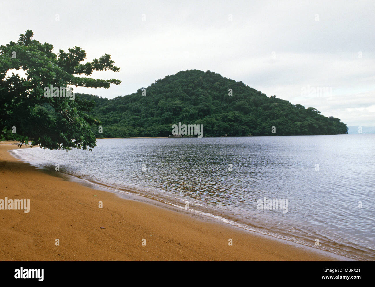 The beach on Nosy Mangabe Island, a reserve and sanctuary of the aye ...