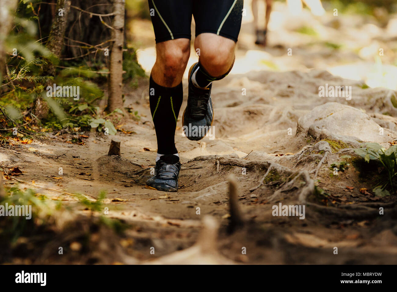 People legs tree roots hi-res stock photography and images - Alamy