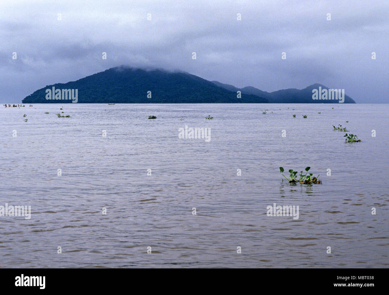 Nosy Mangabe Island, a reserve and sanctuary of the aye-aye lemur, in ...