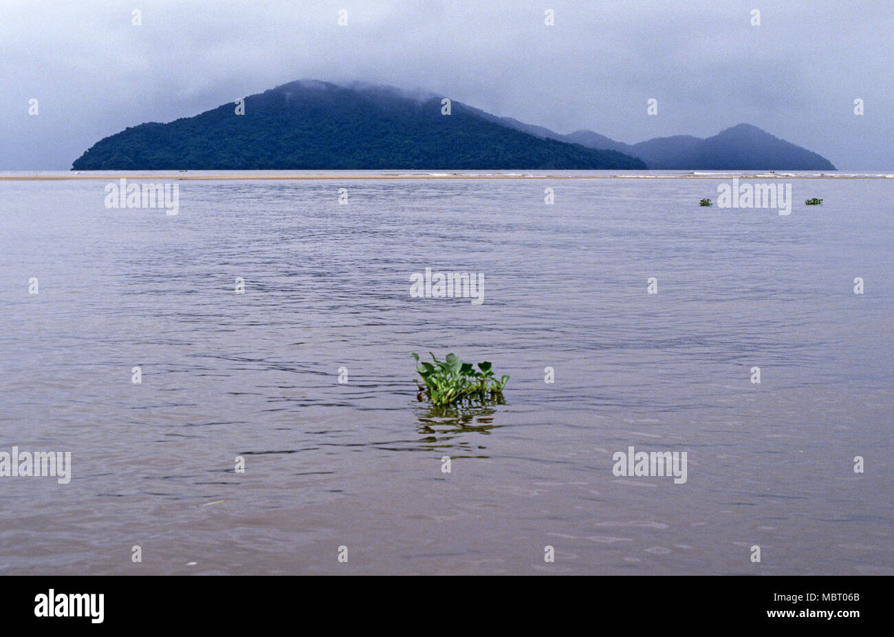 Nosy Mangabe Island, a reserve and sanctuary of the aye-aye lemur, in ...