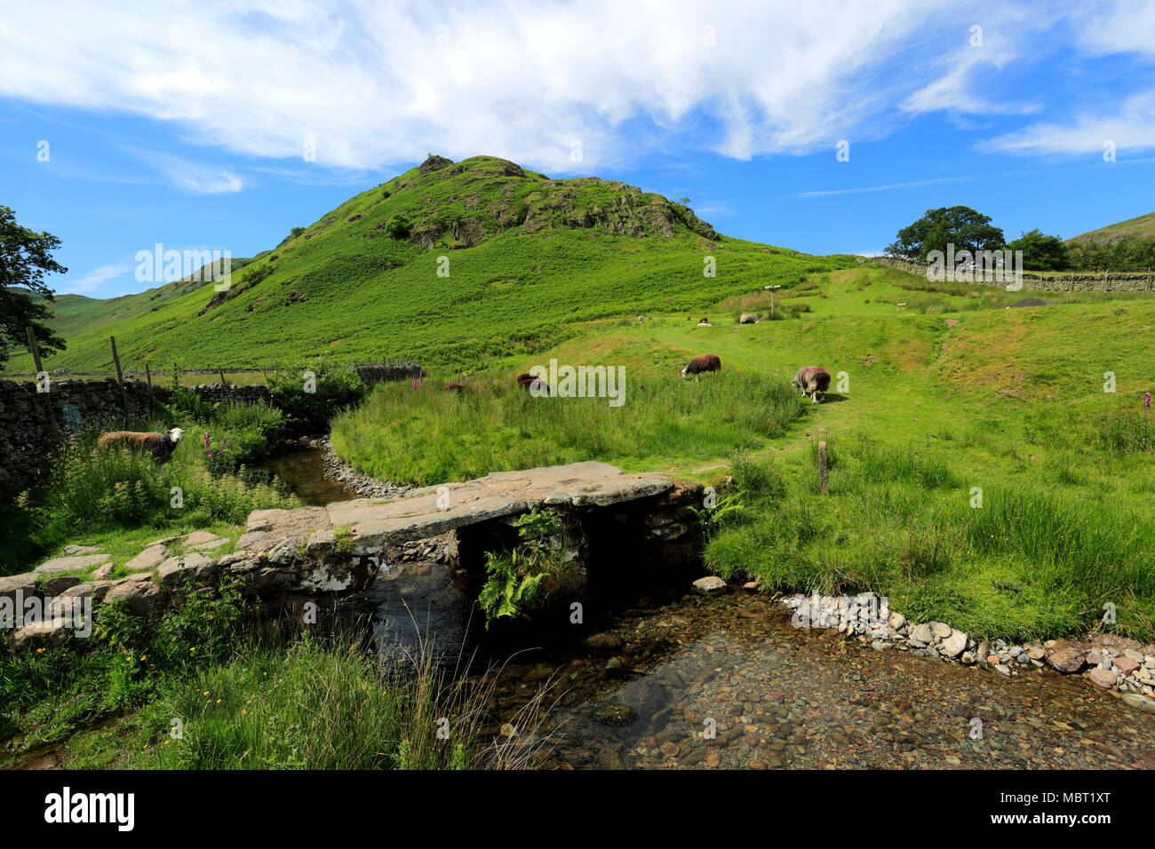 Summer view of the Fusedale valley, Martindale, Lake District National ...