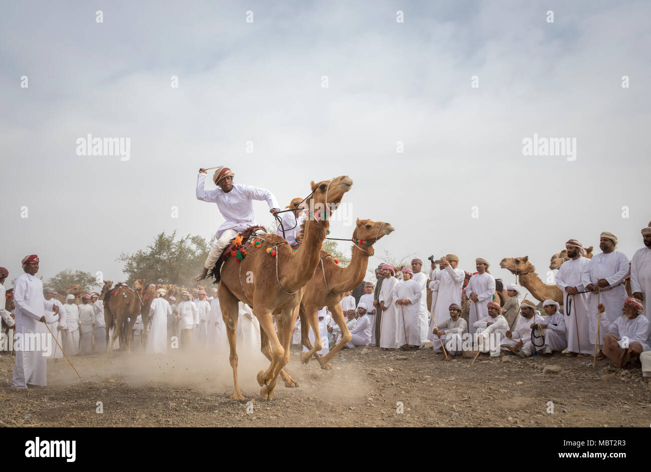 Arab man riding camel on hi-res stock photography and images - Alamy