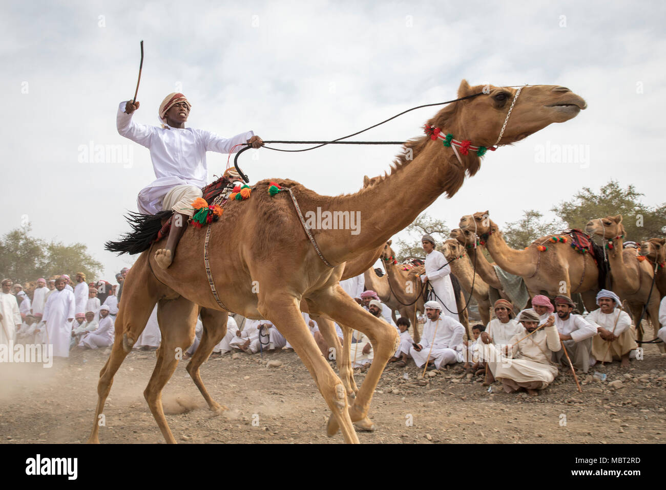 Arab man riding camel on hi-res stock photography and images - Alamy