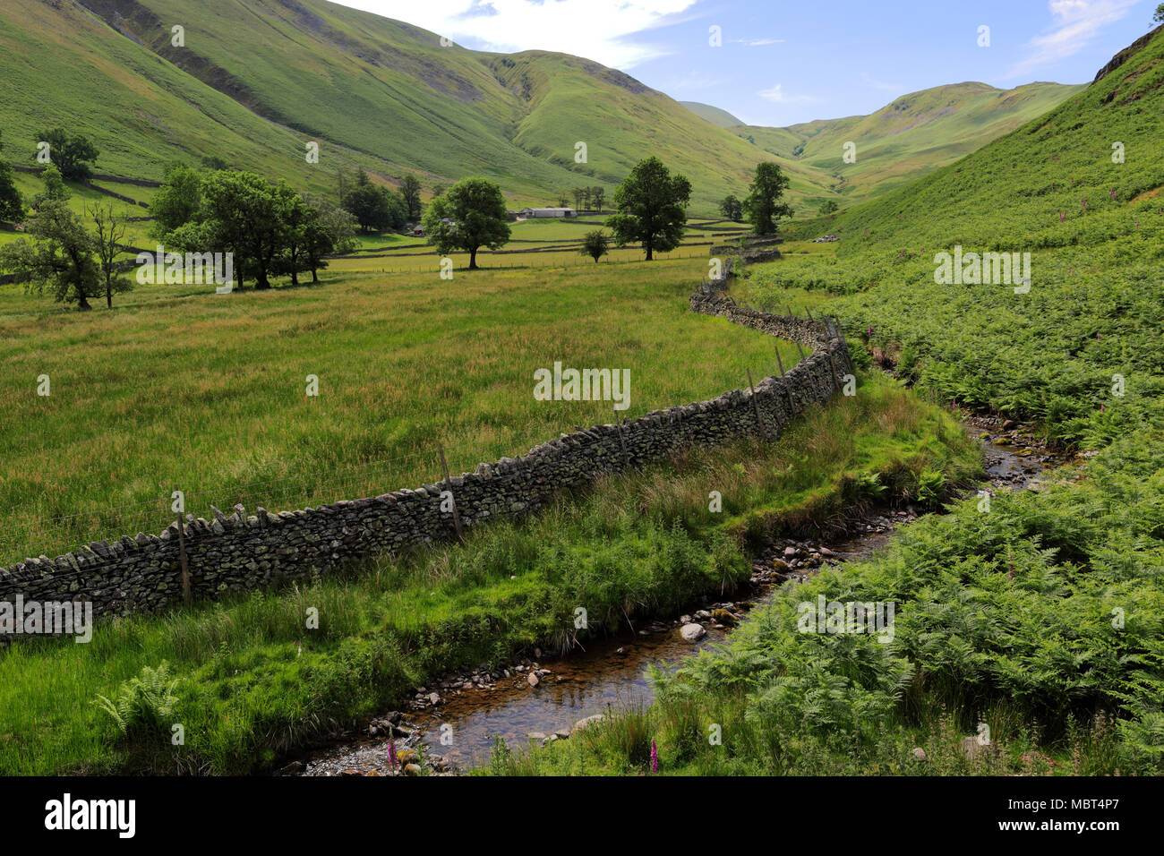 Summer view of the Fusedale valley, Martindale, Lake District National ...