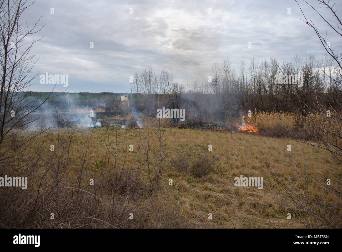 Fire in a field Stock Photo - Alamy
