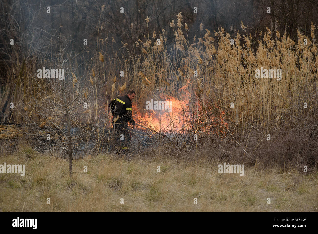 firefighters extinguish fire in a field Stock Photo - Alamy