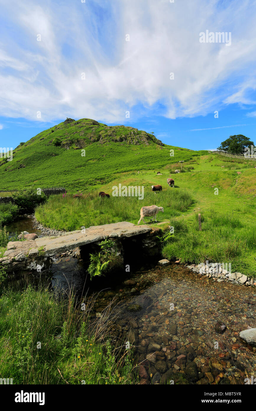Summer view of the Fusedale valley, Martindale, Lake District National ...