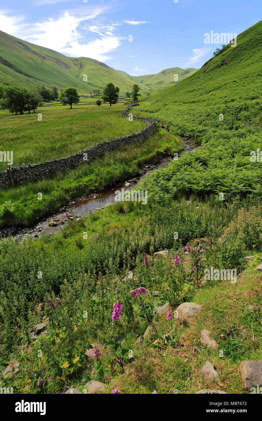 Summer view of the Fusedale valley, Martindale, Lake District National ...