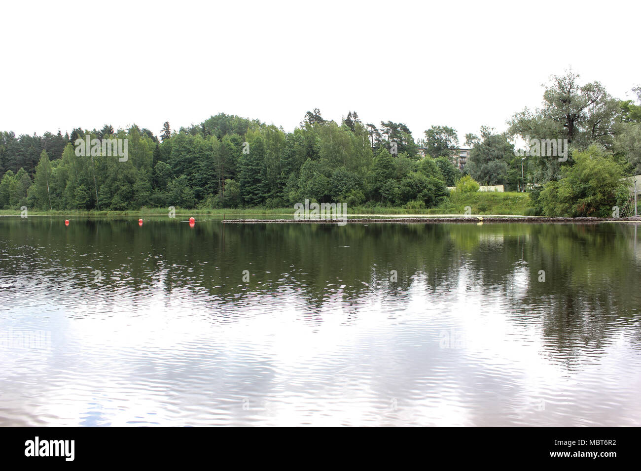 beautiful lake landscape with trees and herbs Stock Photo - Alamy