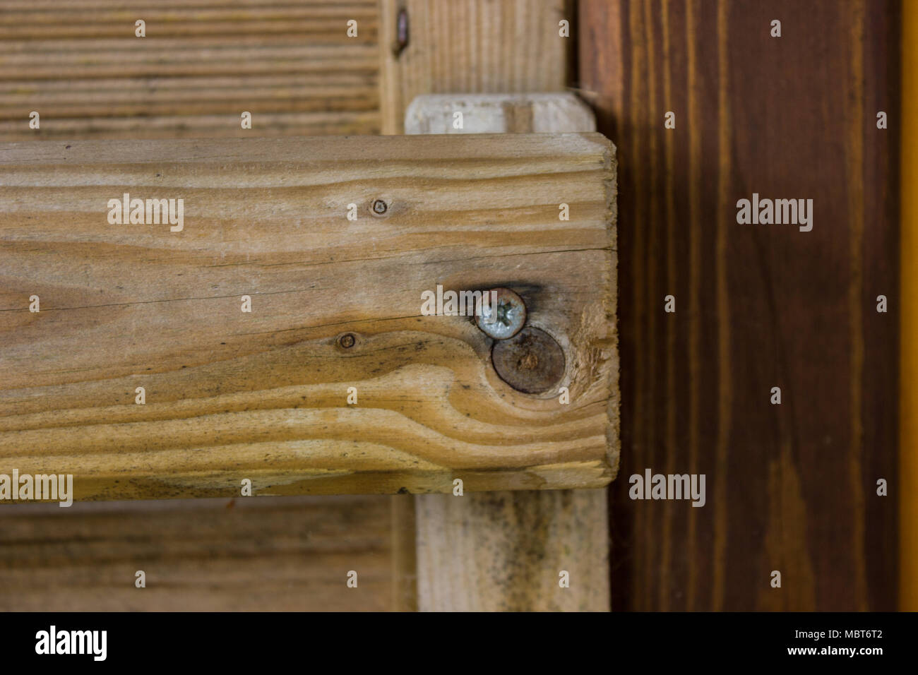 natural close-up texture of a tree Stock Photo - Alamy