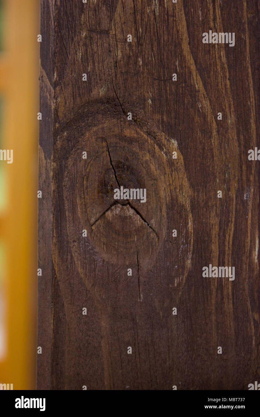 natural close-up texture of a tree Stock Photo - Alamy