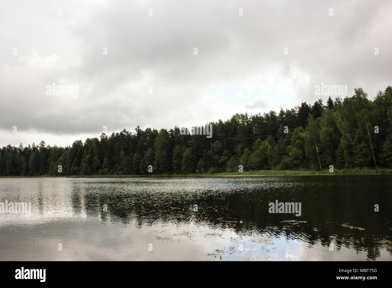 beautiful lake landscape with trees and herbs Stock Photo - Alamy