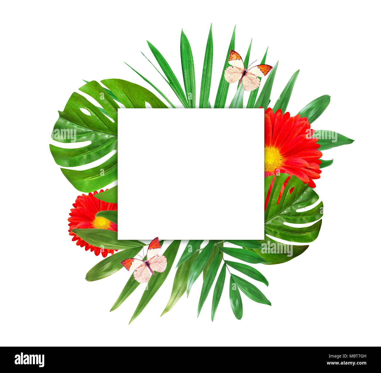 Square frame tropical leaves Cut Out Stock Images & Pictures - Alamy
