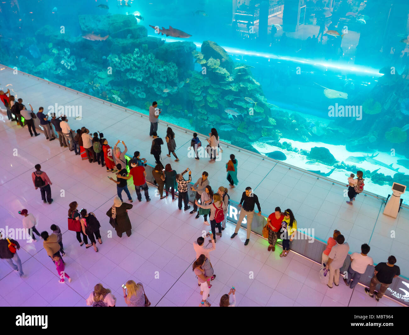 DUBAI,UAE - DECEMBER, 2017: People enjoy the underwater life of the ...