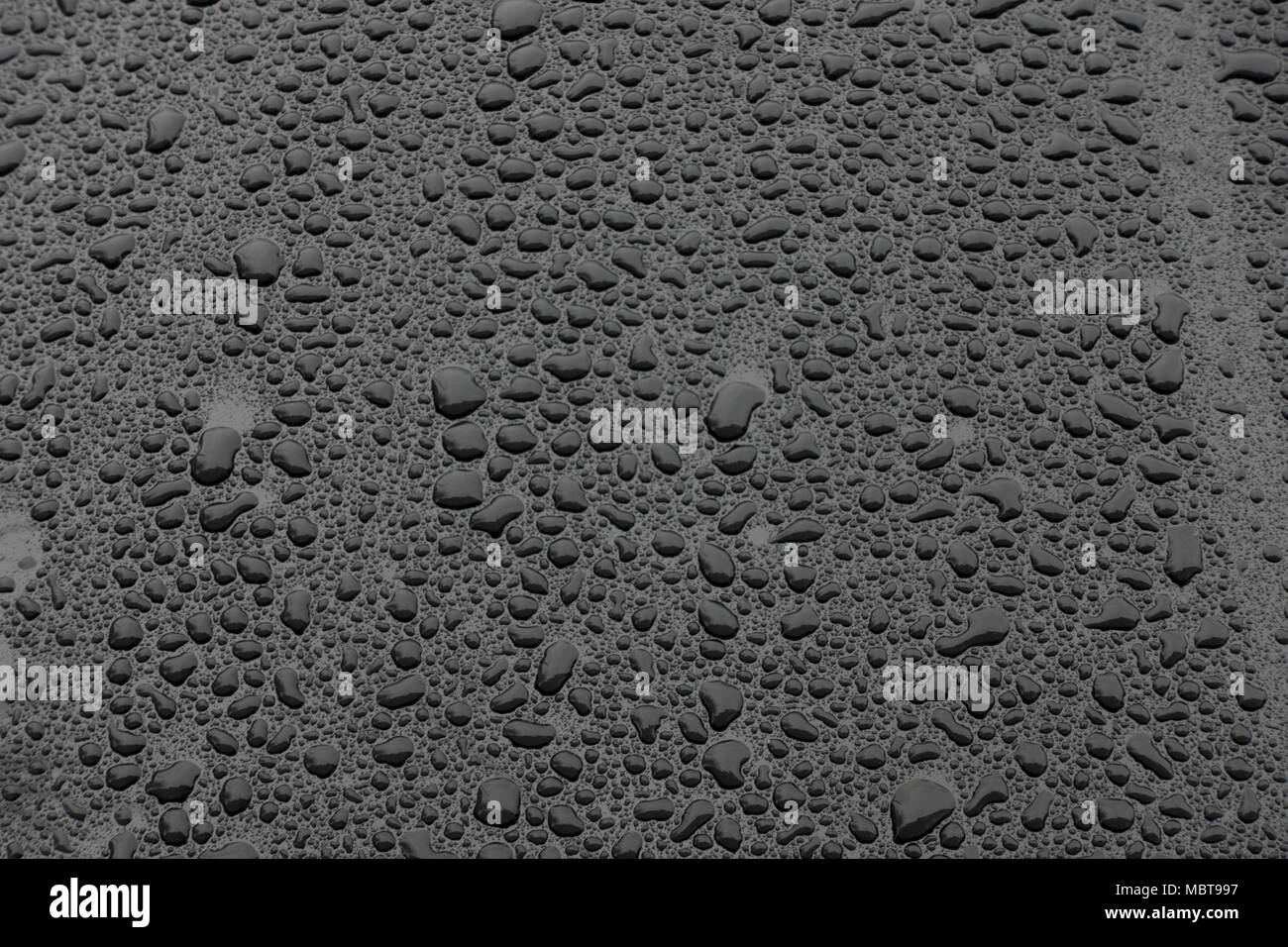 Drops of rain on black car bonnet. UK Stock Photo - Alamy