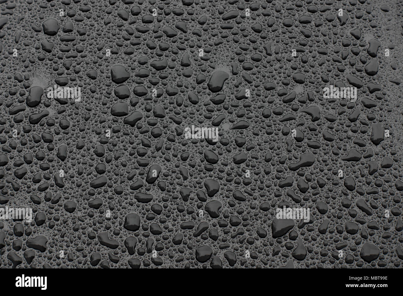 Wet Car Bonnet Stock Photos & Wet Car Bonnet Stock Images - Alamy