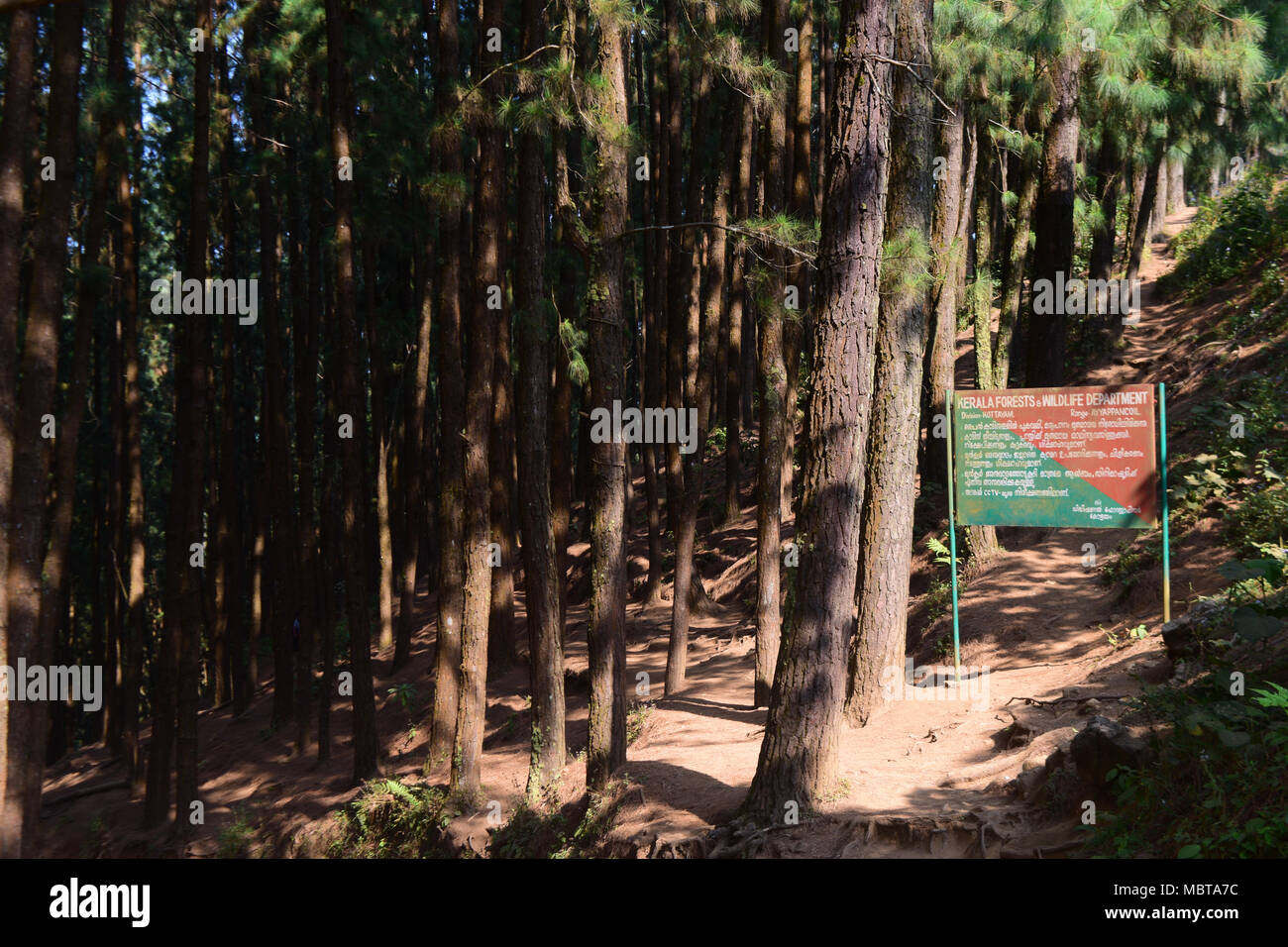 Kerala Forest Department