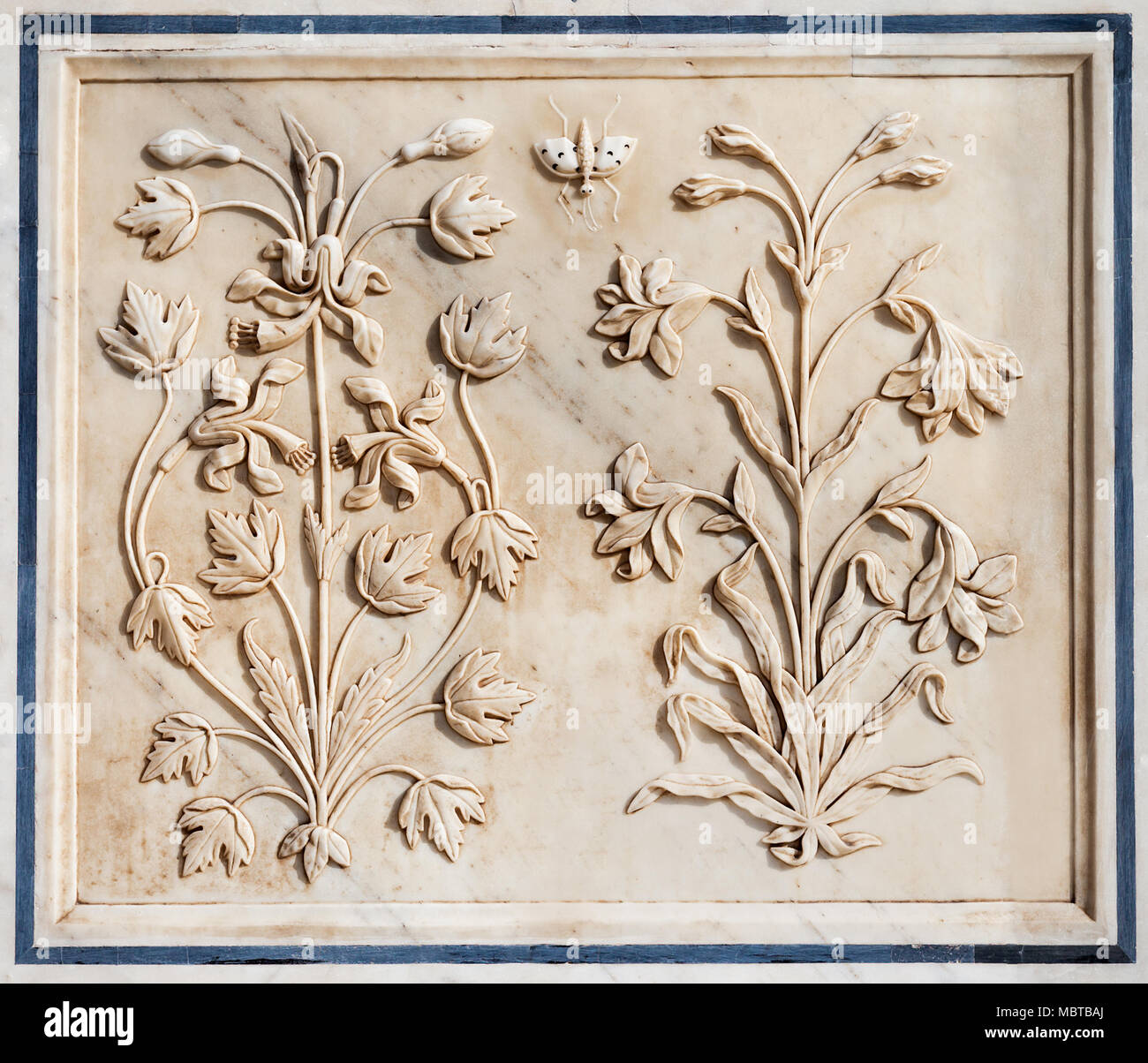 Beautiful pattern on the palace wall, Jaipur, India Stock Photo - Alamy