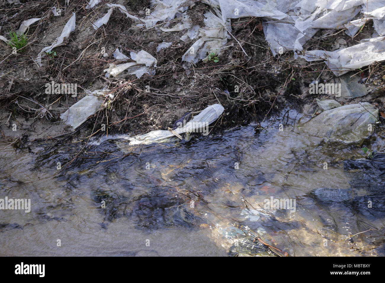 Heavy polluted water stream with domestic garbage Stock Photo - Alamy