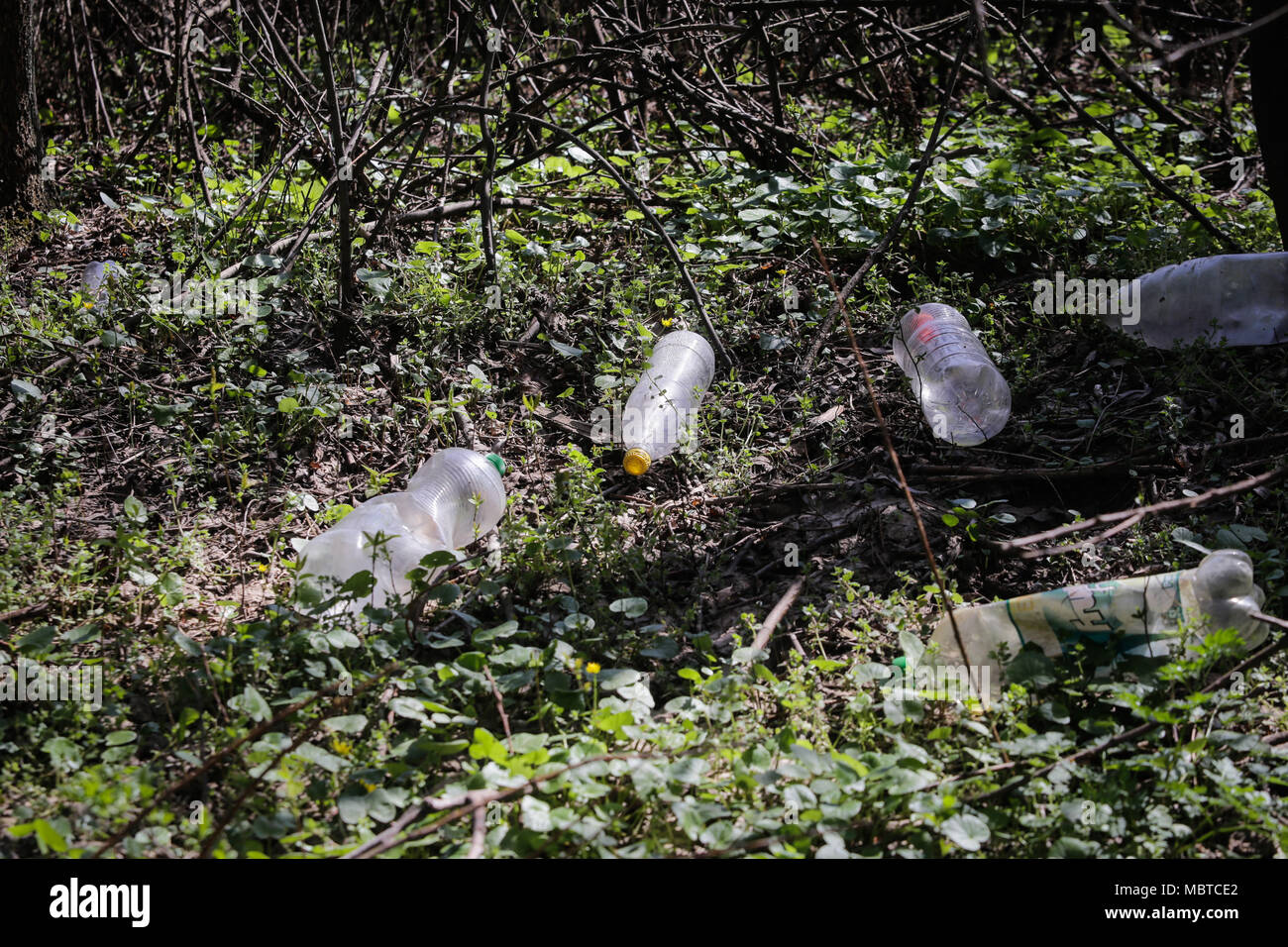 Heavy polluted water stream with domestic garbage Stock Photo - Alamy