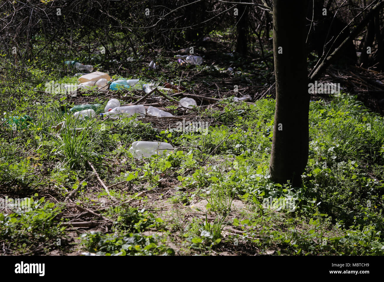 Heavy polluted water stream with domestic garbage Stock Photo - Alamy