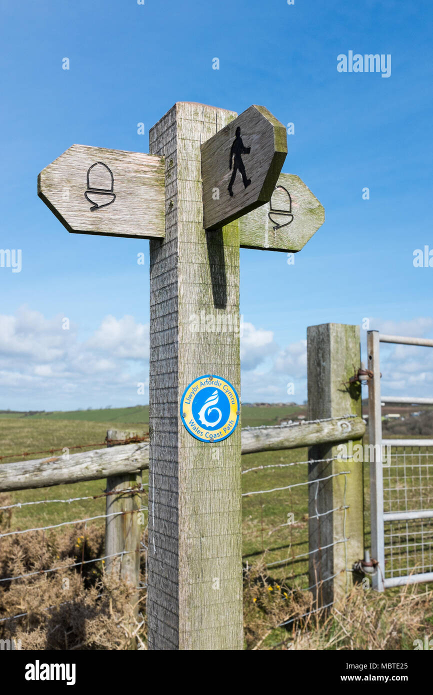 Wooden fingerpost giving directions on the Pembrokeshire Coastal Path ...