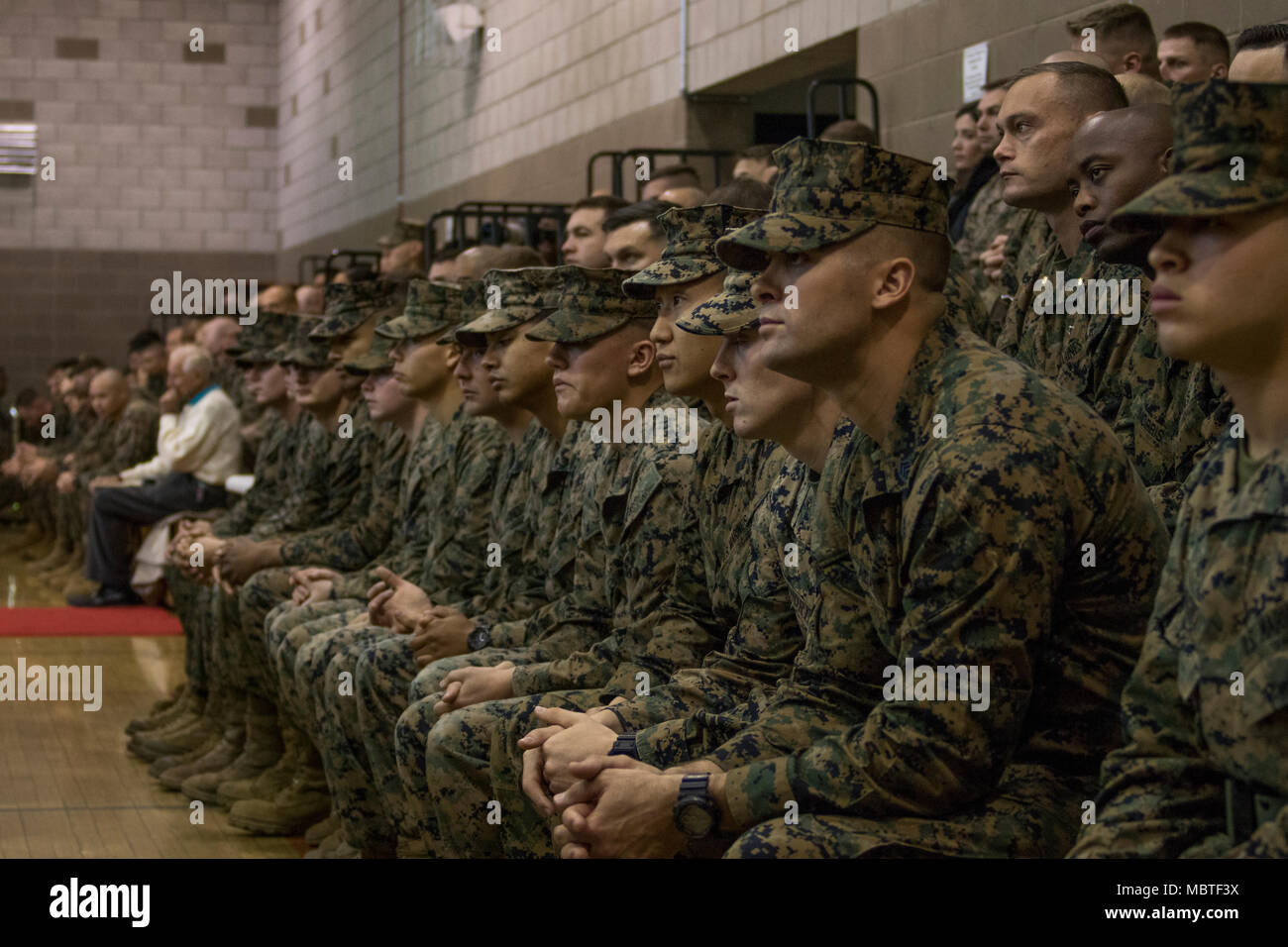 U.S. Marines celebrate 11th Marine Regiment, 1st Marine Division 100 ...
